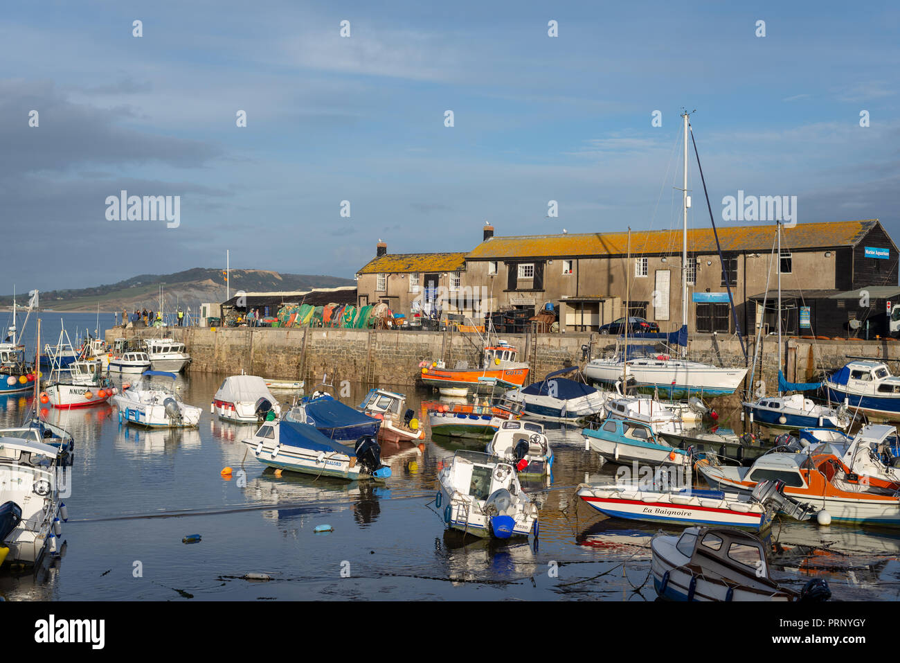 Lyme Regis Cobb, beach and harbour, Dorset, England Stock Photo - Alamy