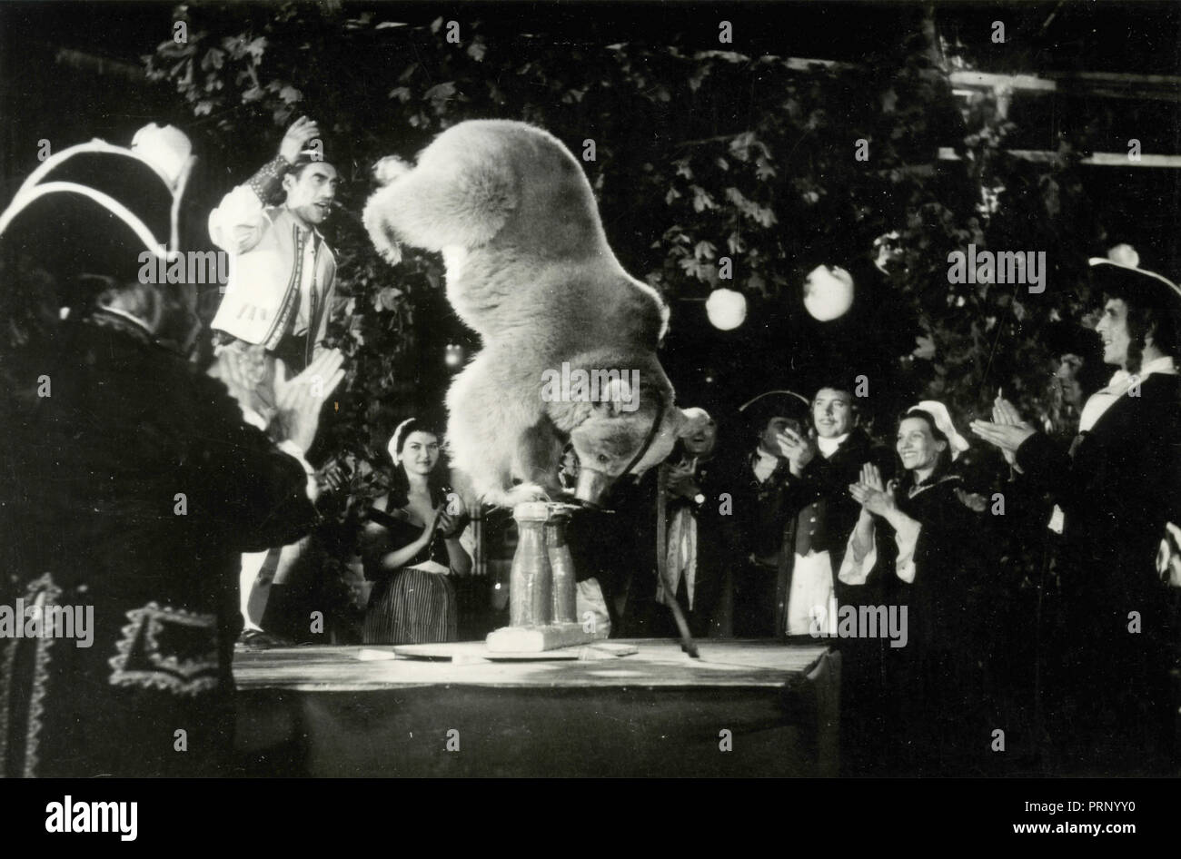 Circus bear hi-res stock photography and images - Alamy