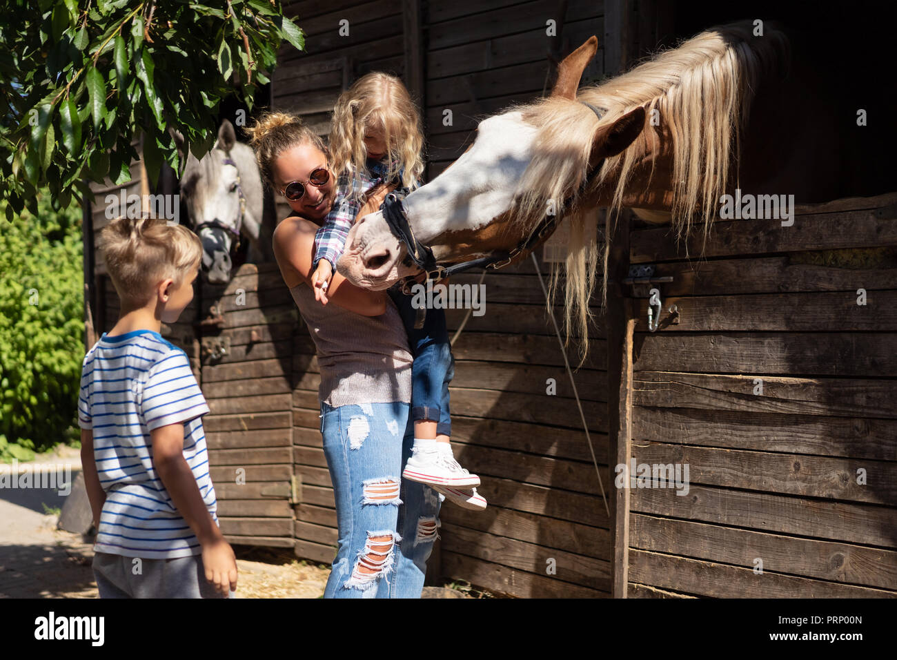 Stable boy girl hi-res stock photography and images - Alamy