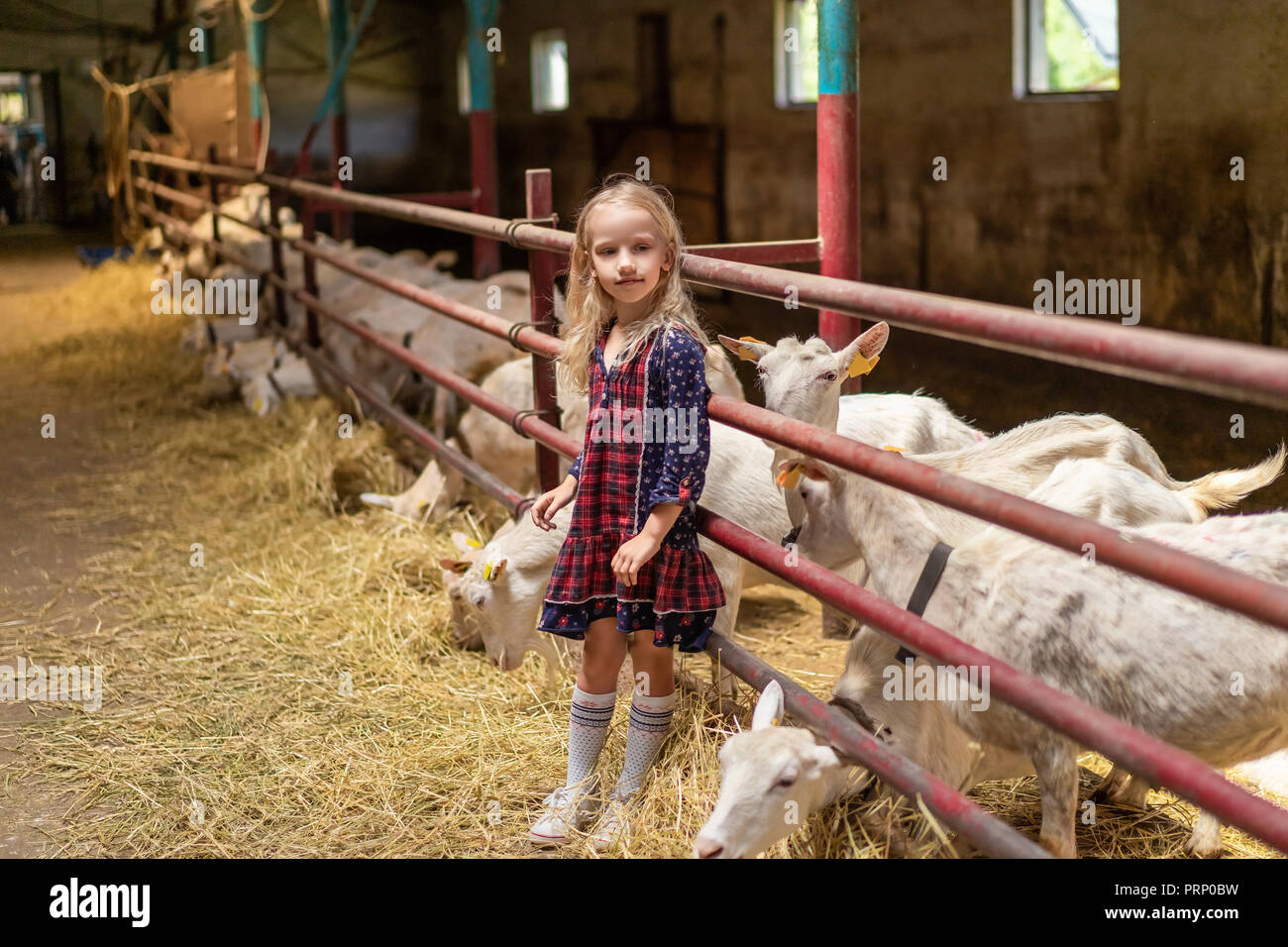 Kid leaning hi-res stock photography and images - Alamy