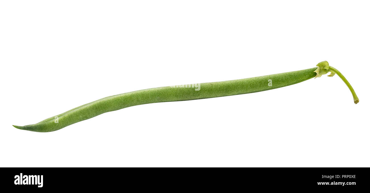 Long légume vert Cut Out Stock Images & Pictures - Alamy