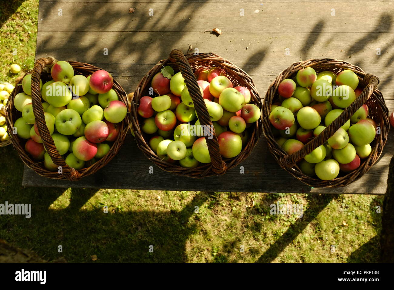 Red apple tree baskets hi-res stock photography and images - Alamy