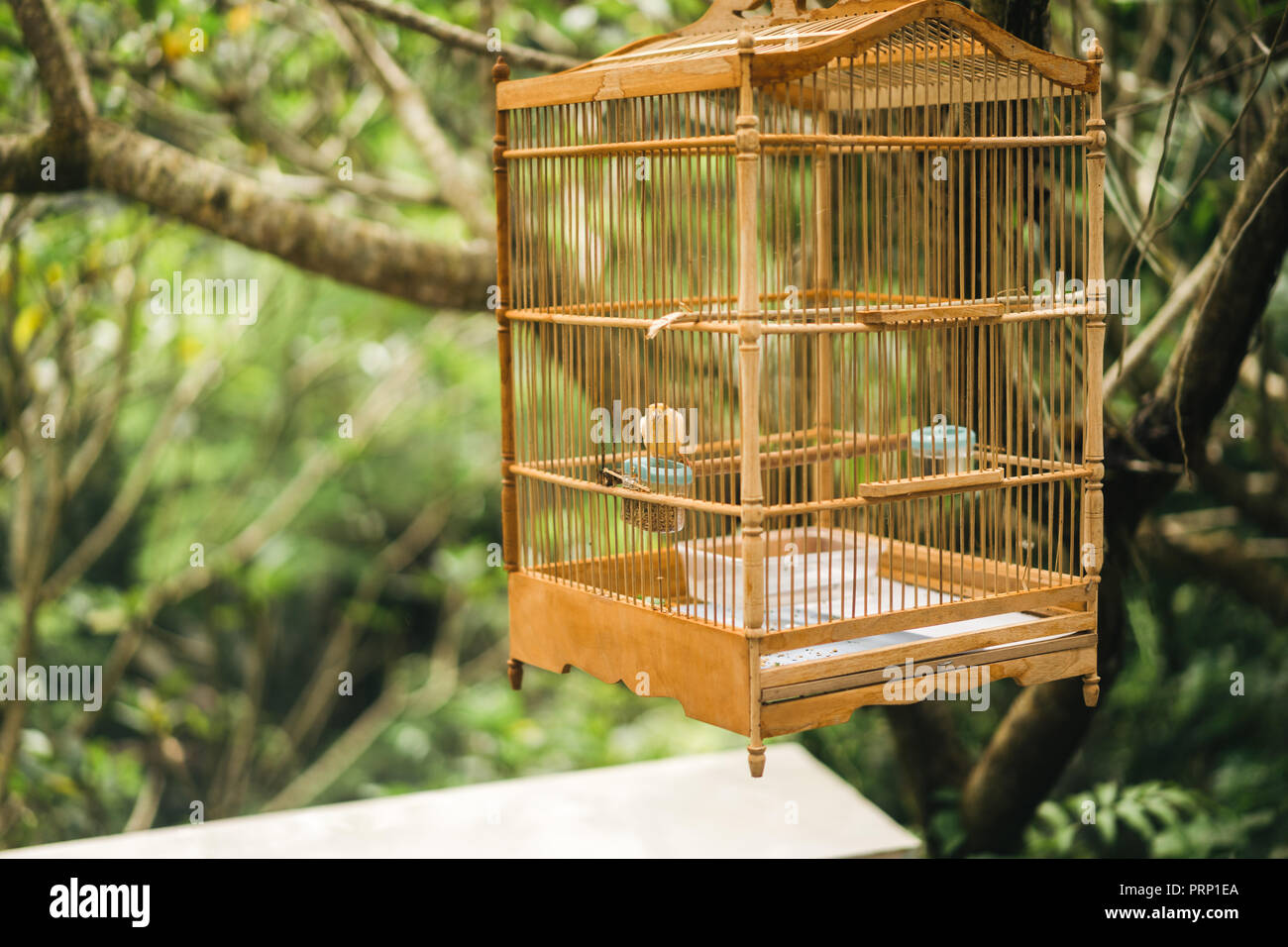 Hanging bird cage hi-res stock photography and images - Alamy