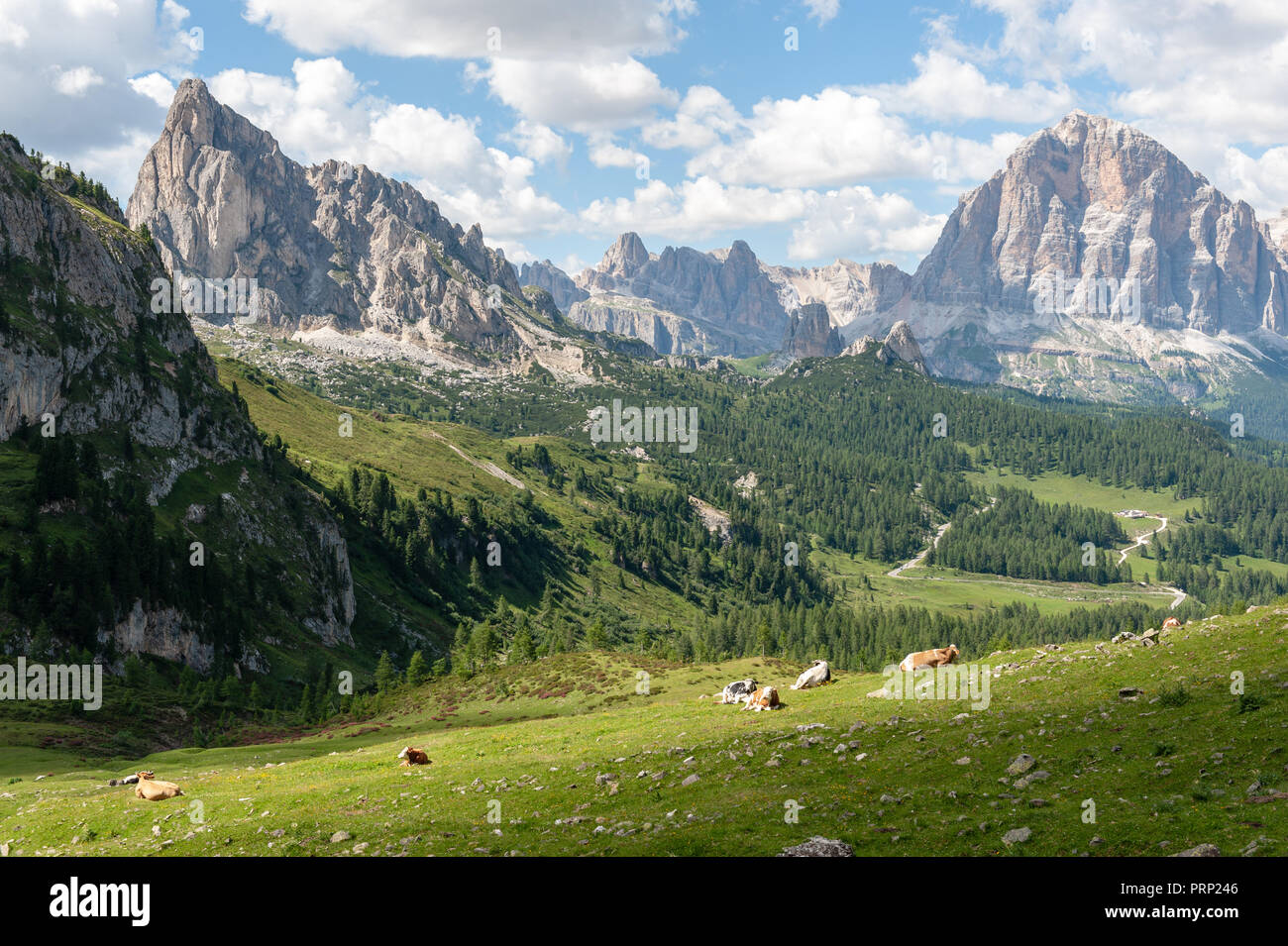 Mountain Scenery of the Italian Dolomites on a summers Afternoon Stock ...