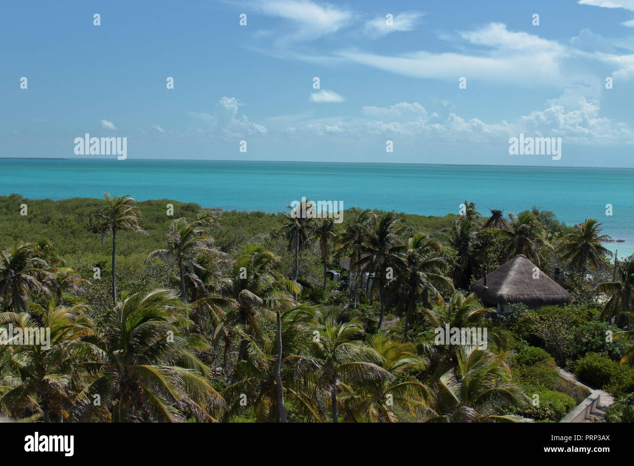 isla contoy located in the yucatan mexico, a desert island in the ...