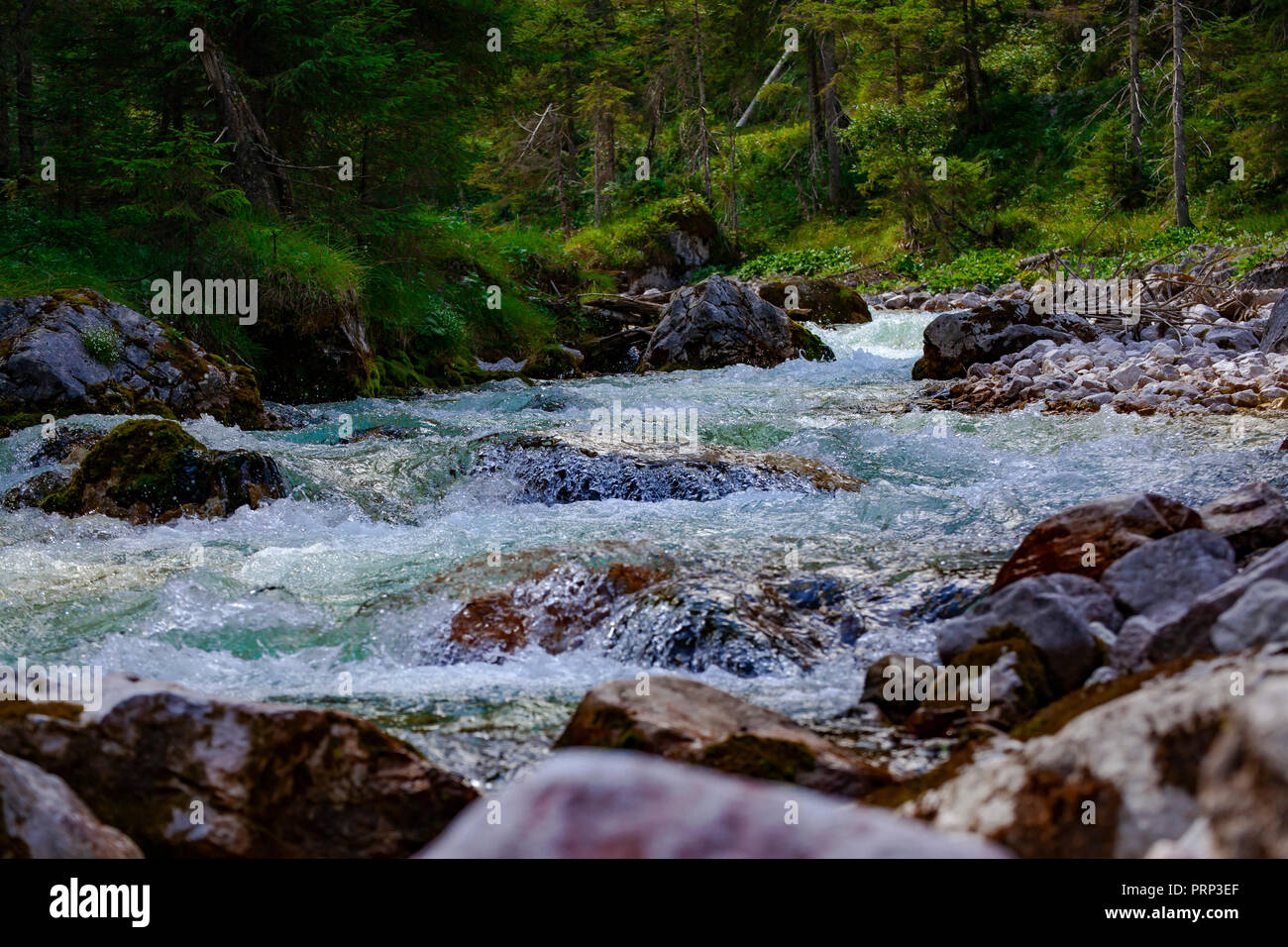Beautiful river in the Alps Stock Photo - Alamy