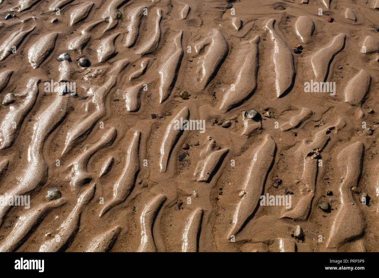 Wet beach sand hi-res stock photography and images - Alamy