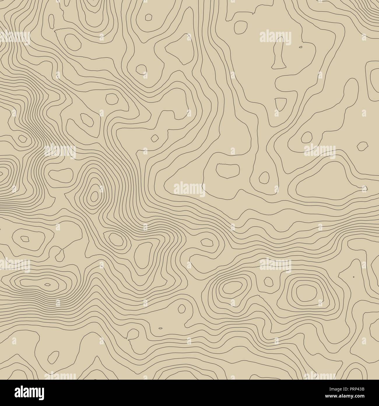 Topographic map background with space for your copy Stock Vector Image ...