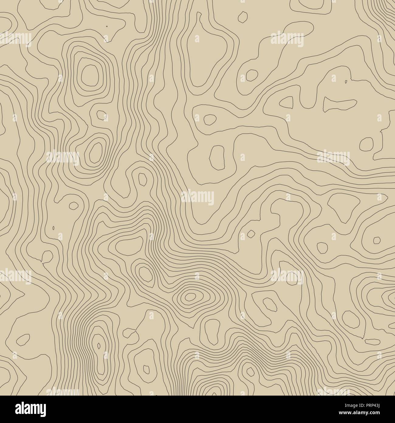 Topographic map background with space for your copy Stock Vector Image ...