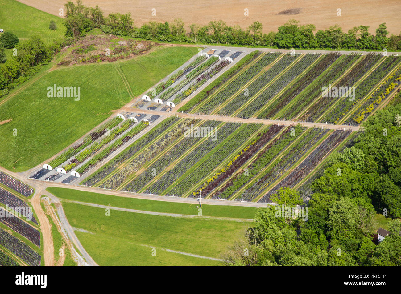 Aerial view of greenhouse hi-res stock photography and images - Alamy
