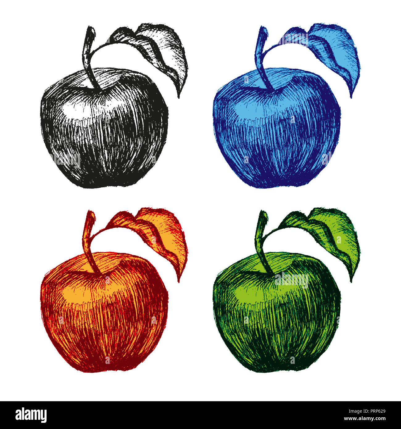 Drawing Of Apple