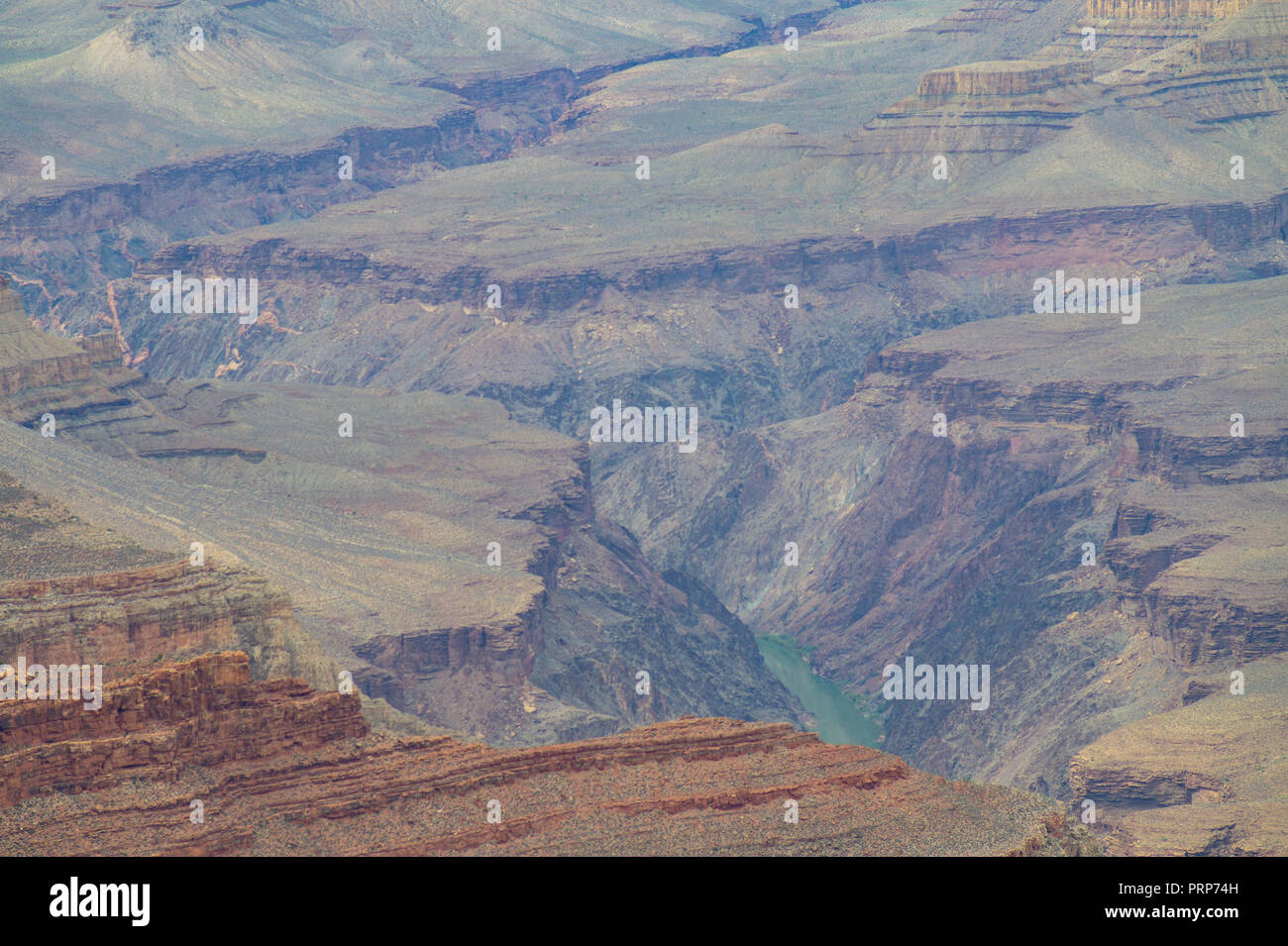 looking down into the Grand Canyon in Arizona Stock Photo - Alamy