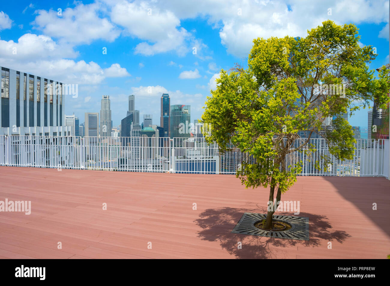 Tree on the roof top of skyscraper in Singapore Stock Photo - Alamy