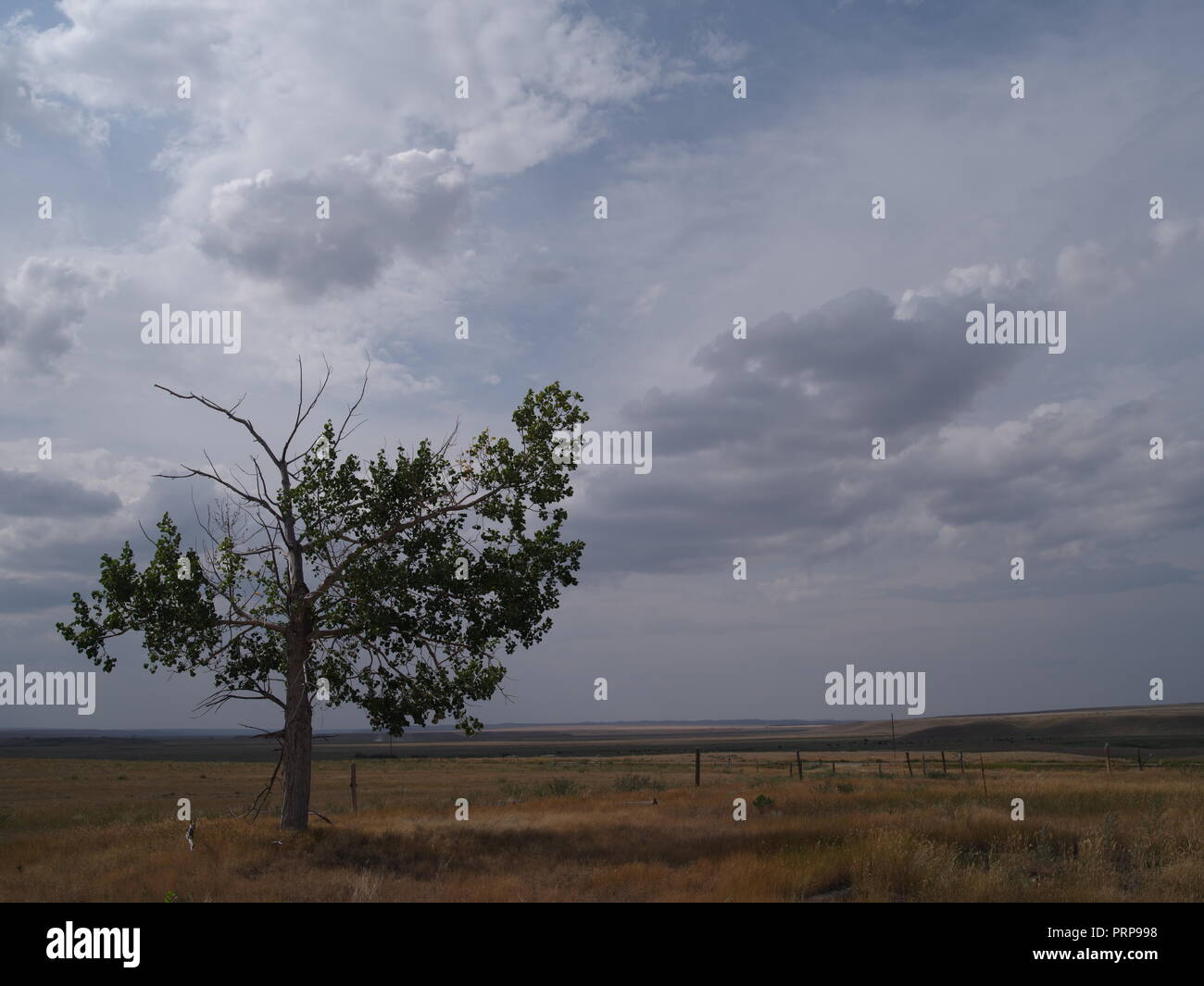Prairie homestead hi-res stock photography and images - Alamy