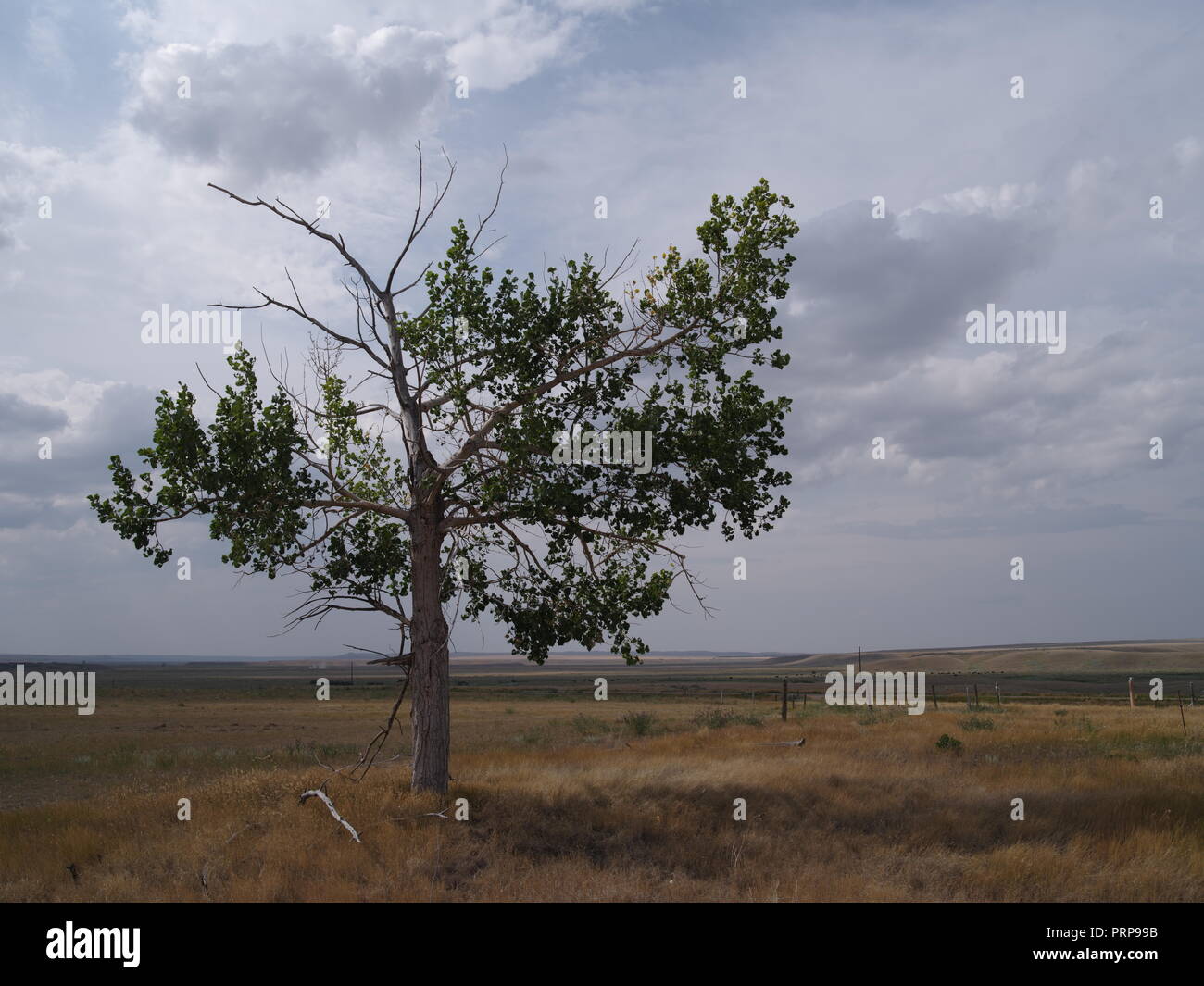 Prairie homestead hi-res stock photography and images - Alamy