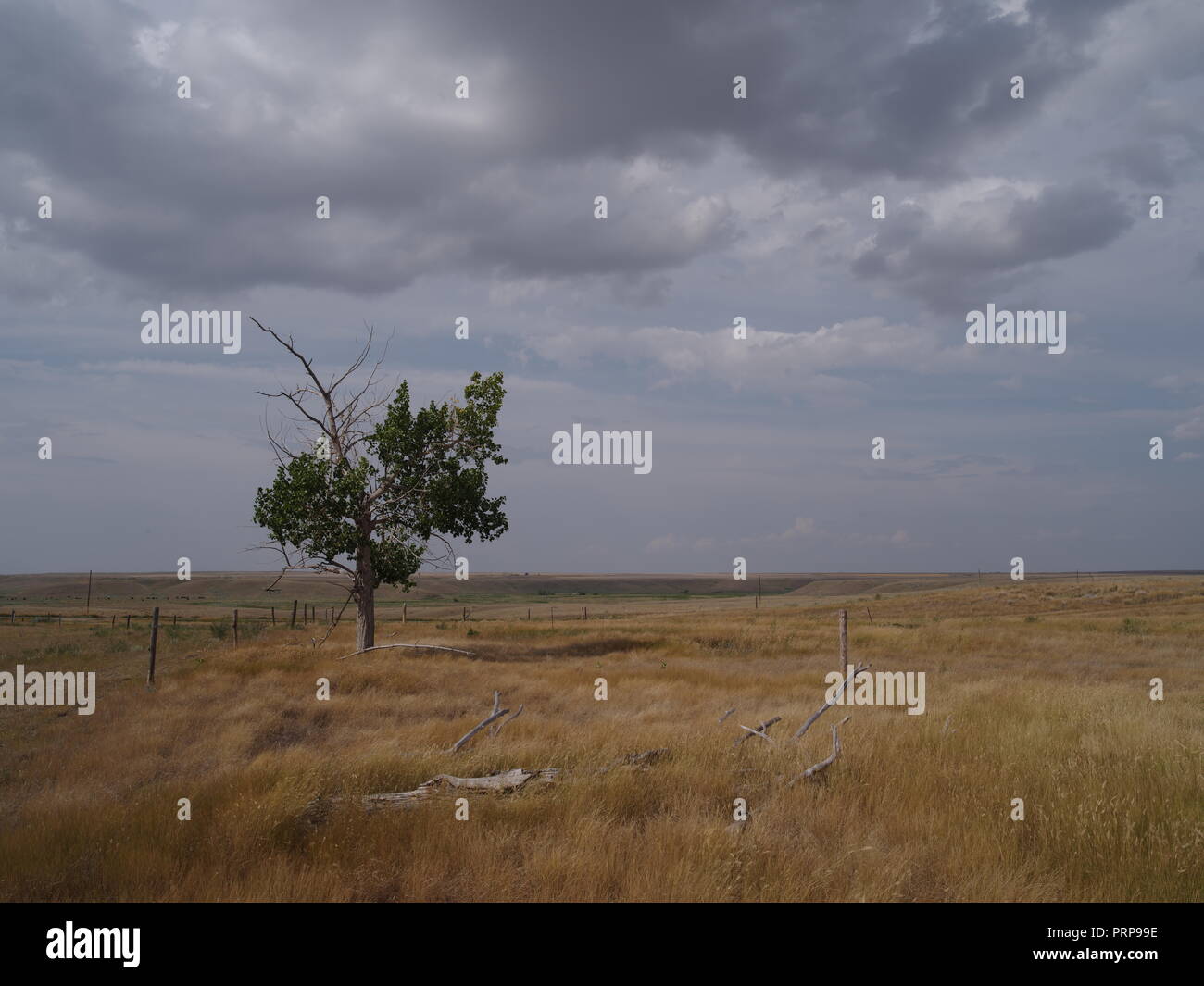 Prairie homestead hi-res stock photography and images - Alamy