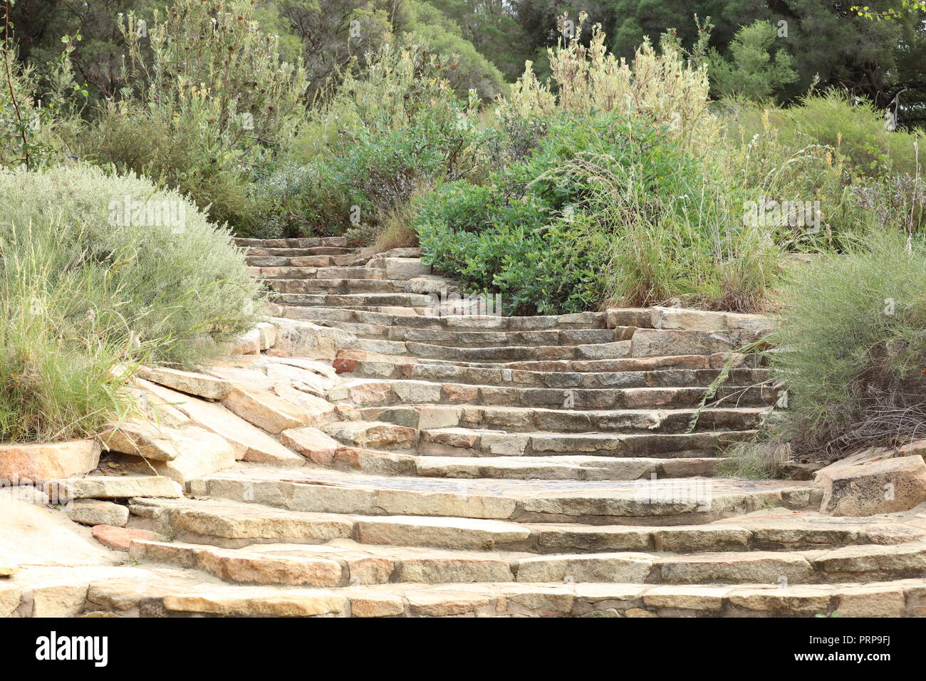 Broad cascading steps, with mosaics on the landings, leading to the ...