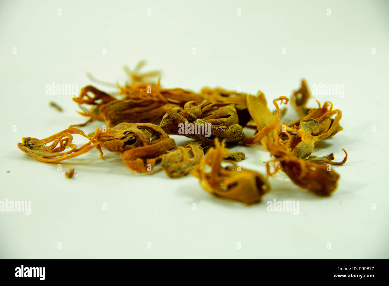 Indian spices- cinnamon, Cardamom, Mace, Fennel Seeds/ Sweet Cumin ...