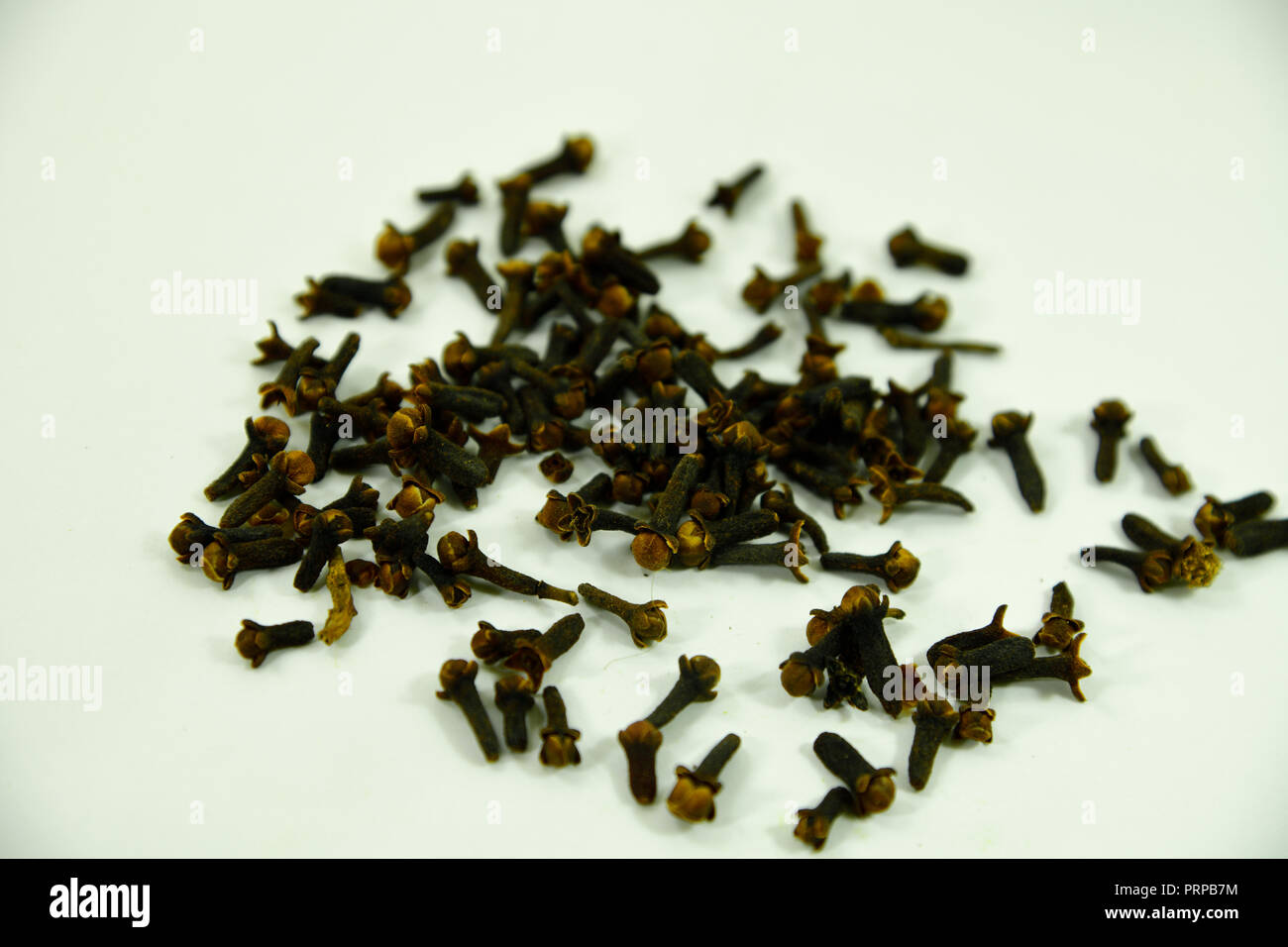 Indian spices- cinnamon, Cardamom, Mace, Fennel Seeds/ Sweet Cumin ...