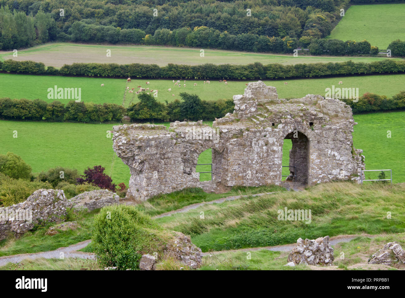 Medieval castle ruins in Ireland (Rock of Dunamase Stock Photo - Alamy