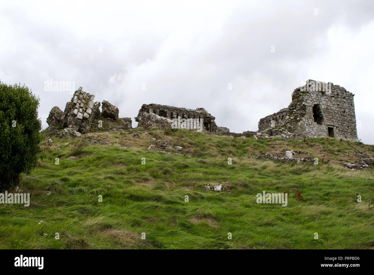Hillside view of medieval castle ruins in Ireland (Rock of Dunamase ...