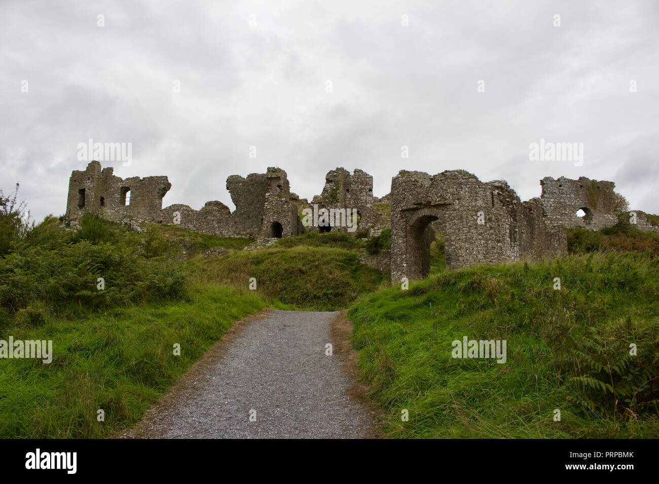 Pathway up to medieval castle ruins in Ireland (Rock of Dunamase Stock ...