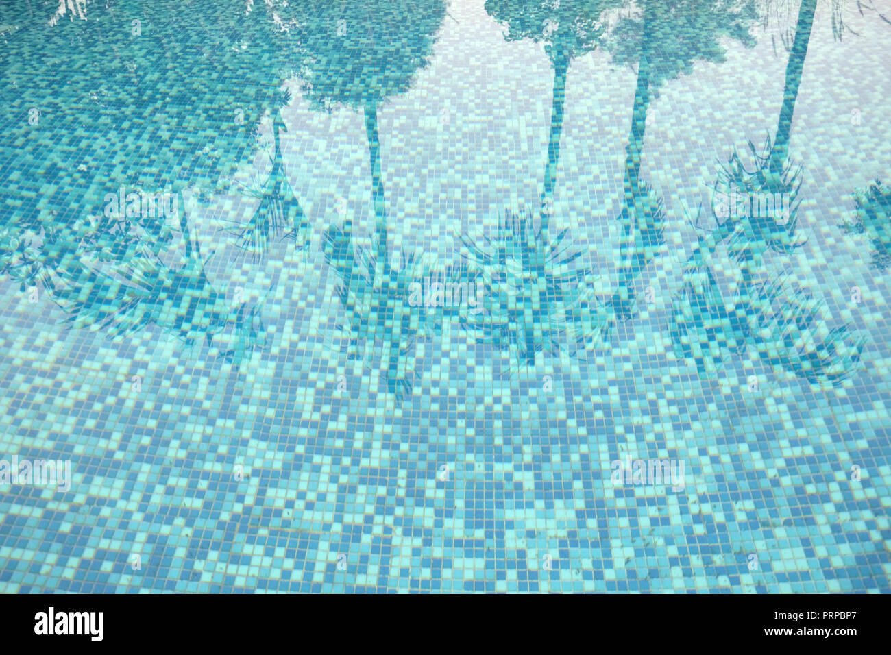 water swimming pool with sunny reflections Stock Photo - Alamy