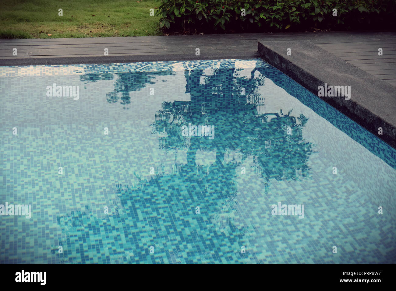 water swimming pool with sunny reflections Stock Photo - Alamy