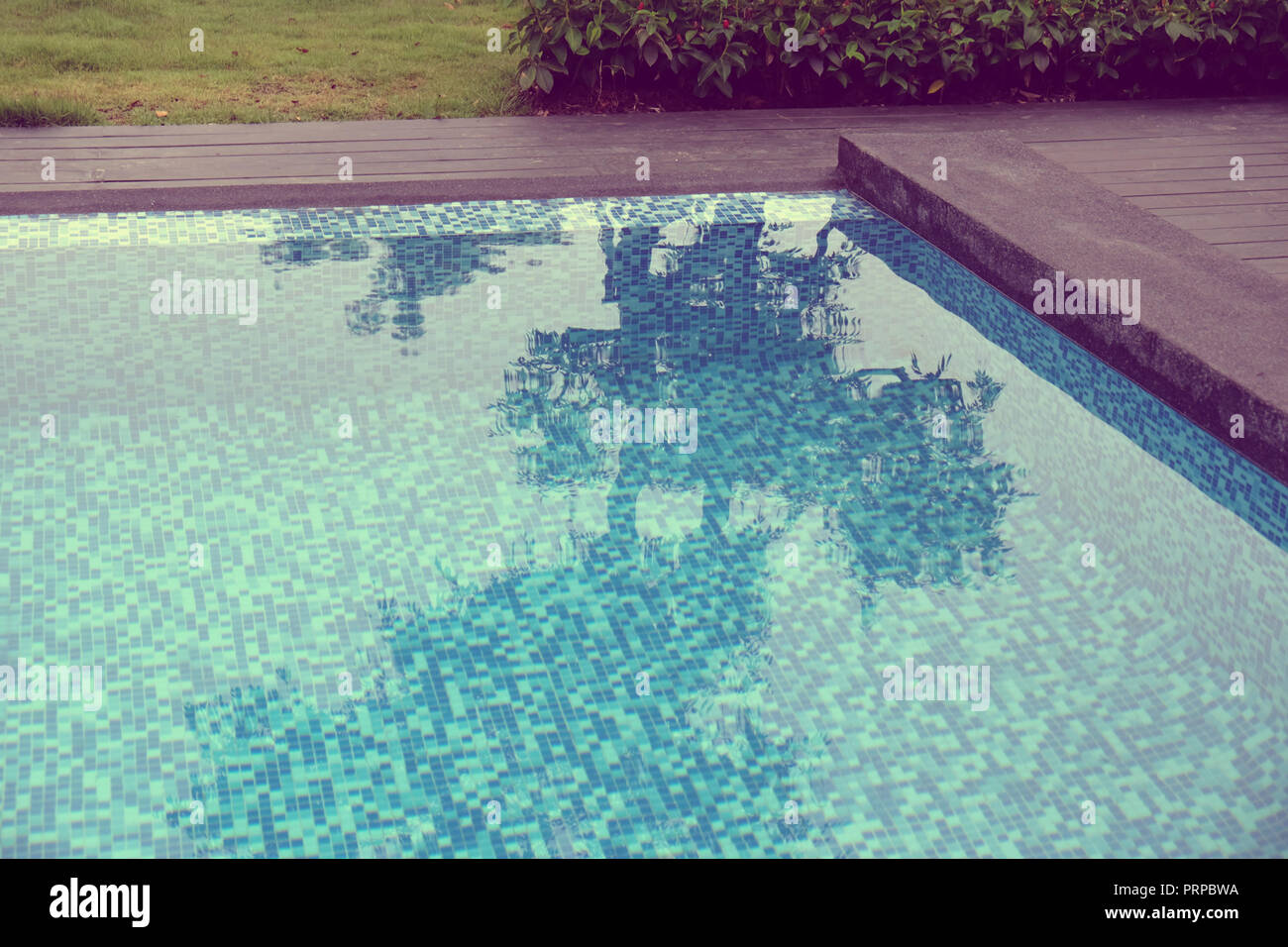 water swimming pool with sunny reflections Stock Photo - Alamy