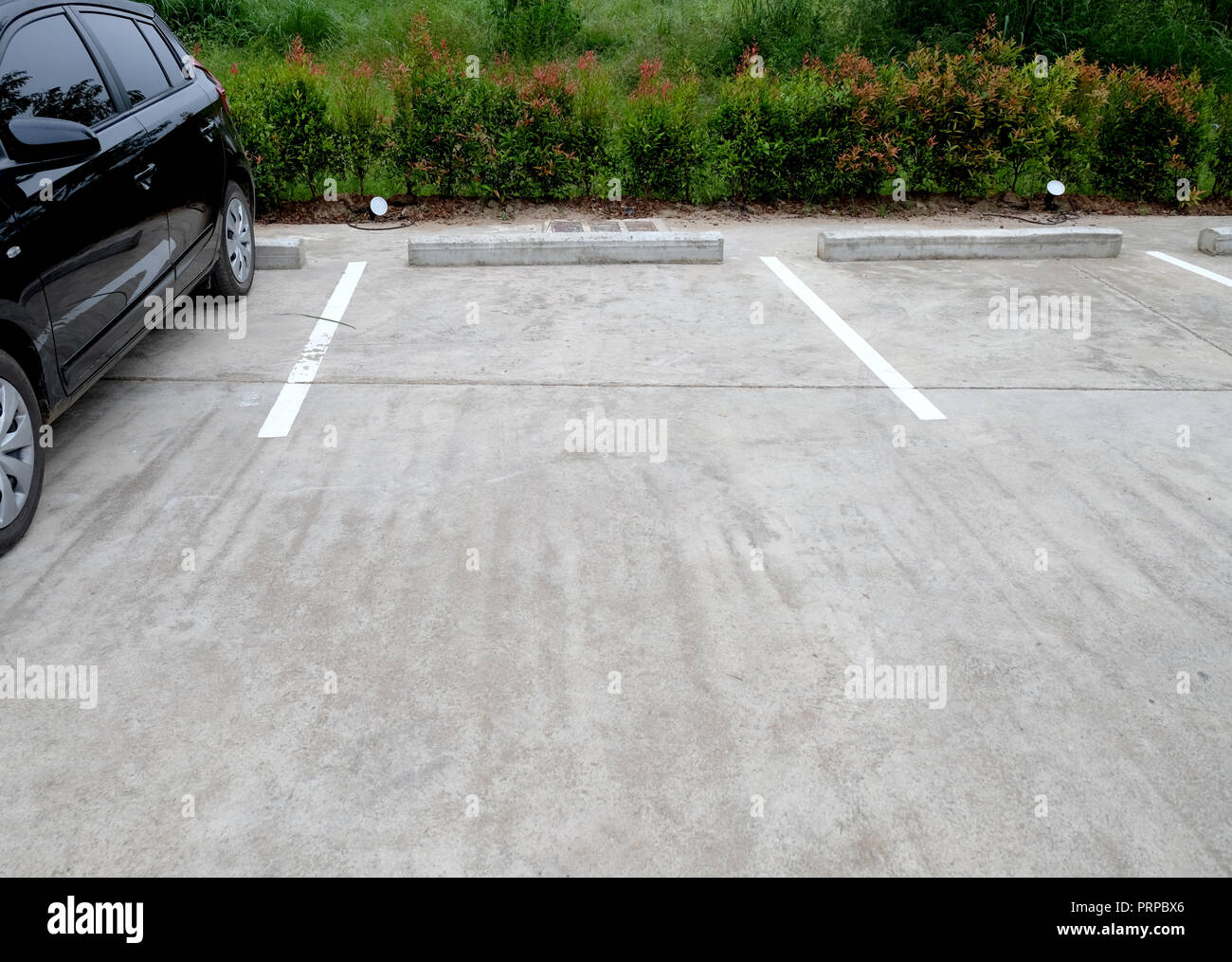 The image of Car parking in car park on daytime Stock Photo - Alamy
