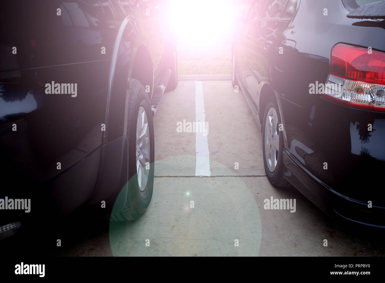 The image of Car parking in car park on daytime Stock Photo - Alamy