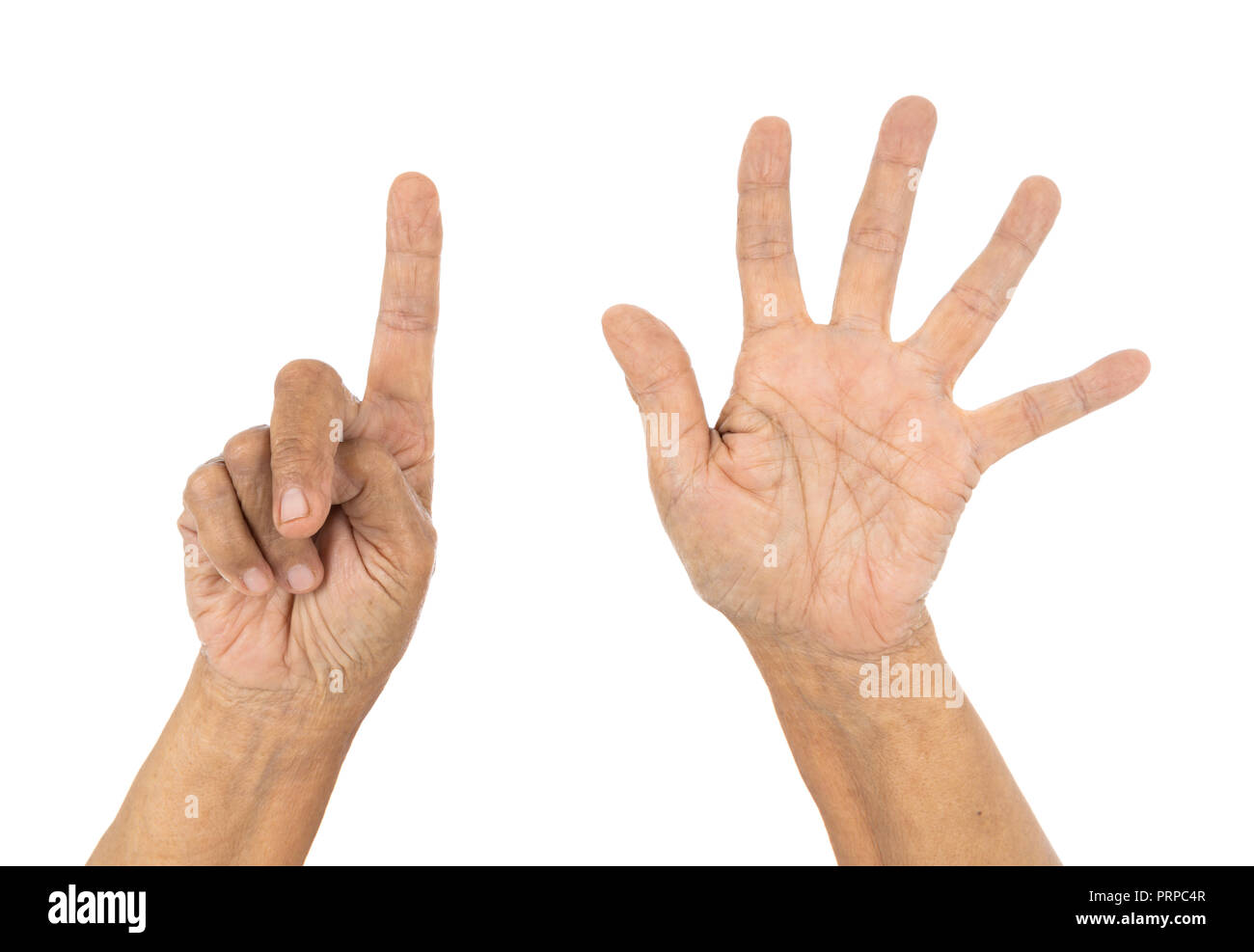 senior hand counting number 6 (six) isolate on a white background Stock ...