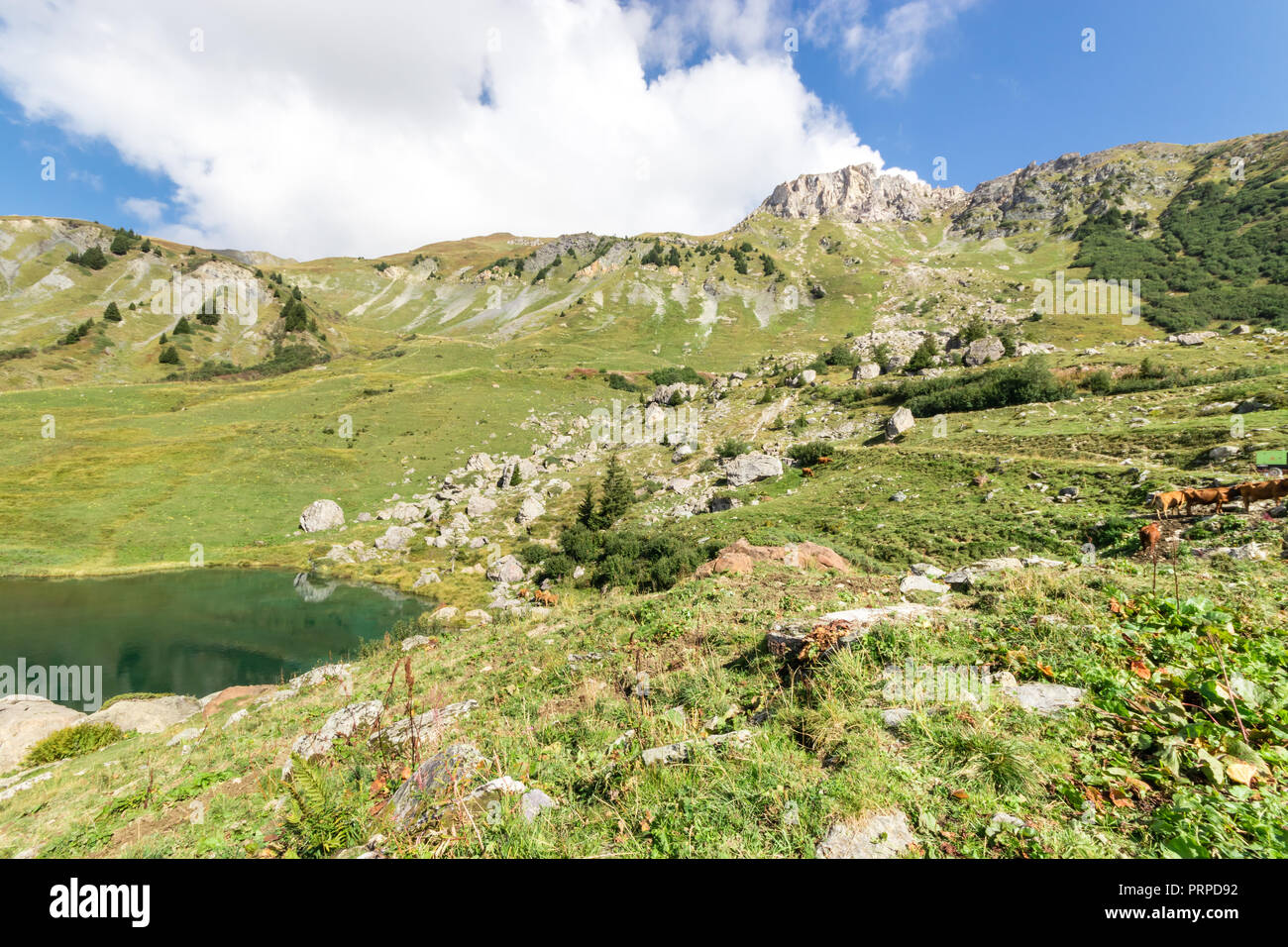Lake named "Fairy lake" from the French Alps Stock Photo - Alamy