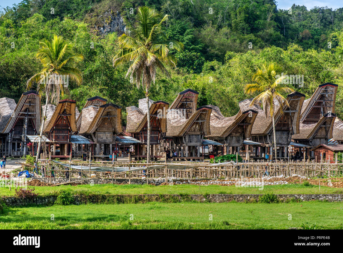 Traditional Toraja village, Rantepao, Tana Toraja, Sulawesi, Indonesia ...