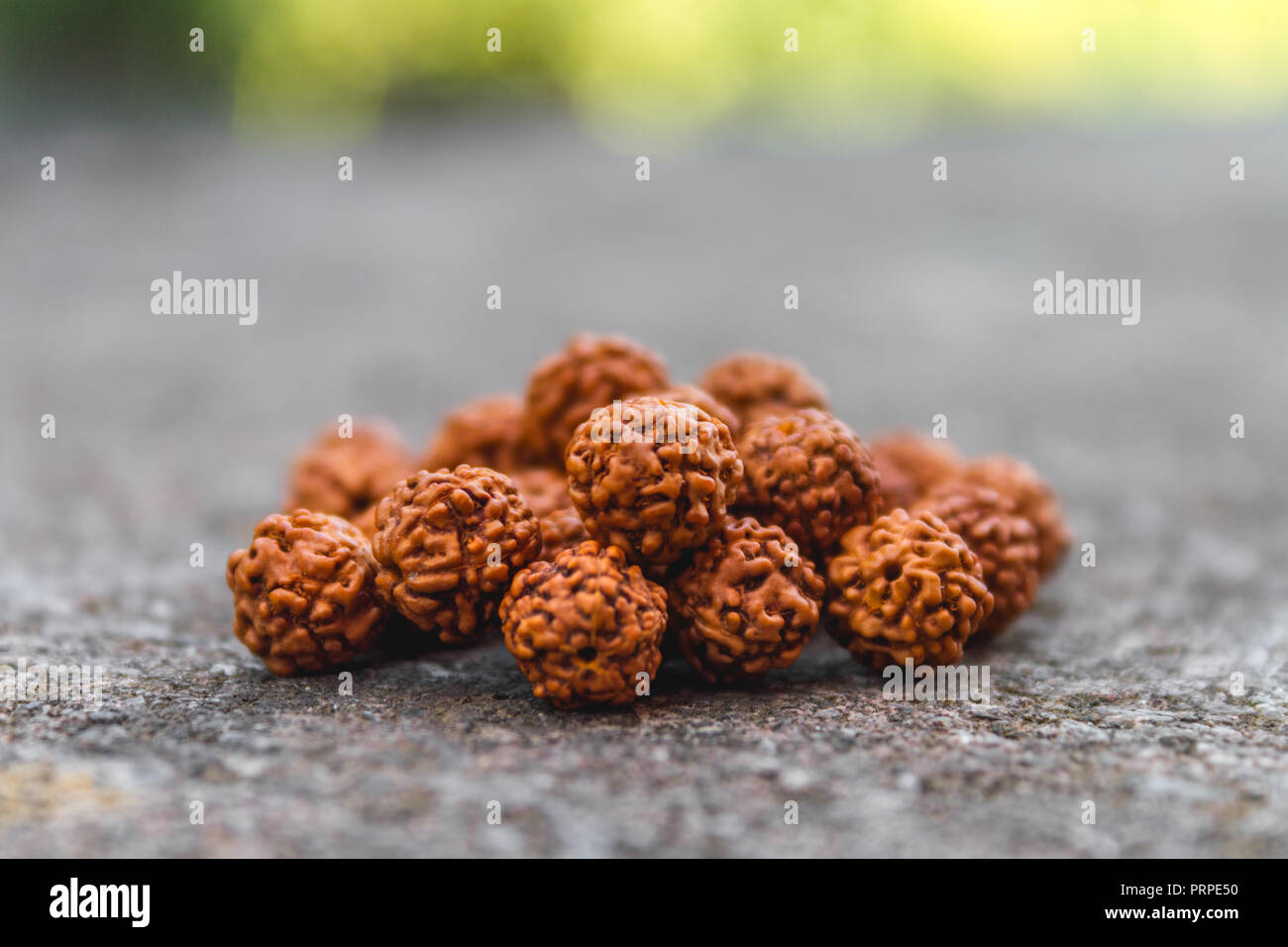Rudraksh hi-res stock photography and images - Alamy
