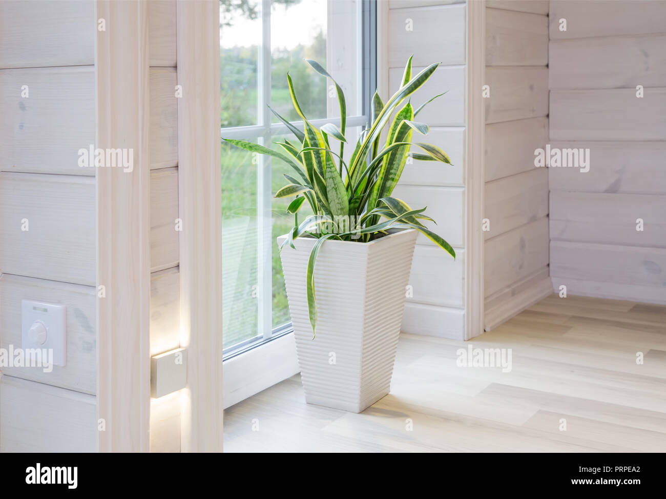 Bright photo studio interior with big window, high ceiling, white ...