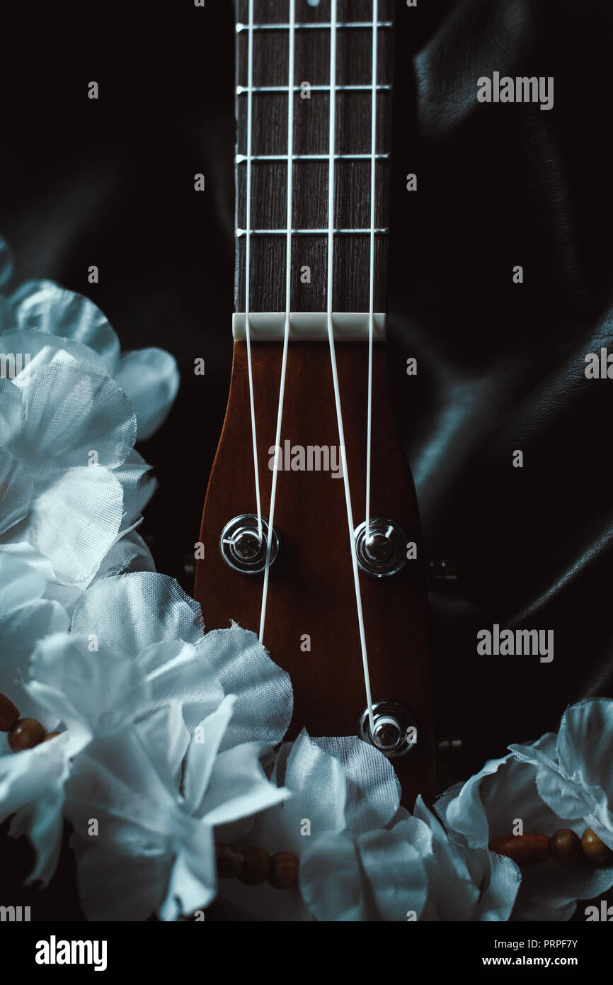 closeup photo of a ukulele neck with a white flower garland Stock Photo ...