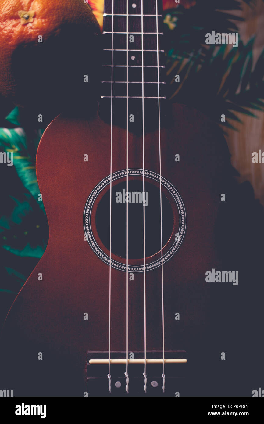 closeup photo of a ukulele against a Hawaiian background Stock Photo ...