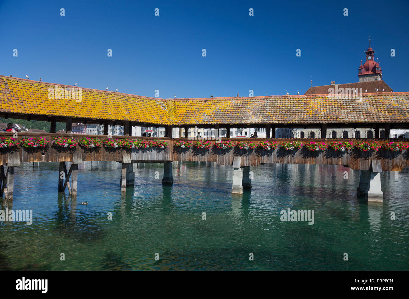 The Chapel Bridge (Kapellbrücke) in Lucerne, Switzerland Stock Photo ...
