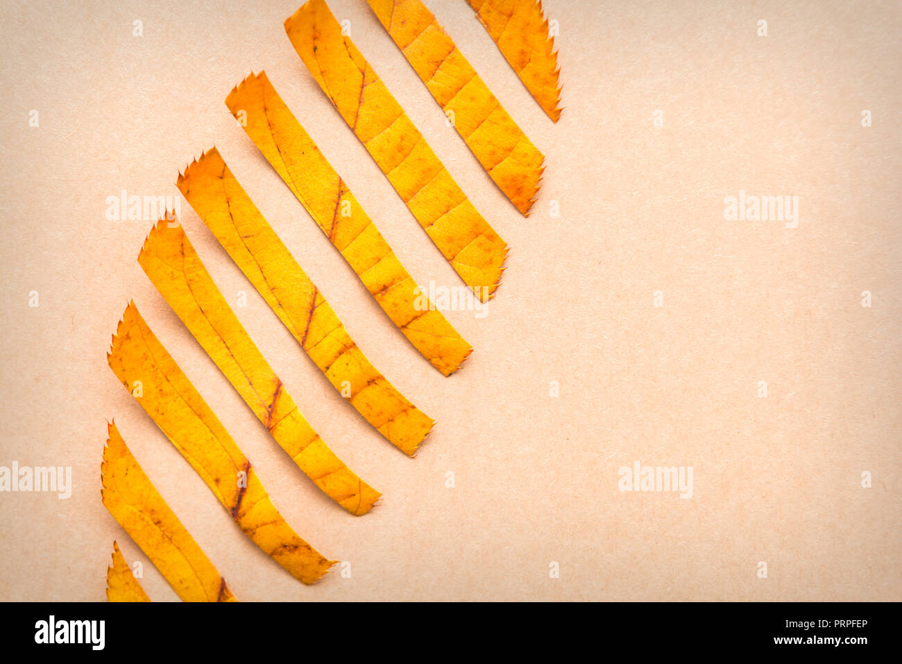 Abstract Autumn design from a cut yellow leaf Stock Photo - Alamy