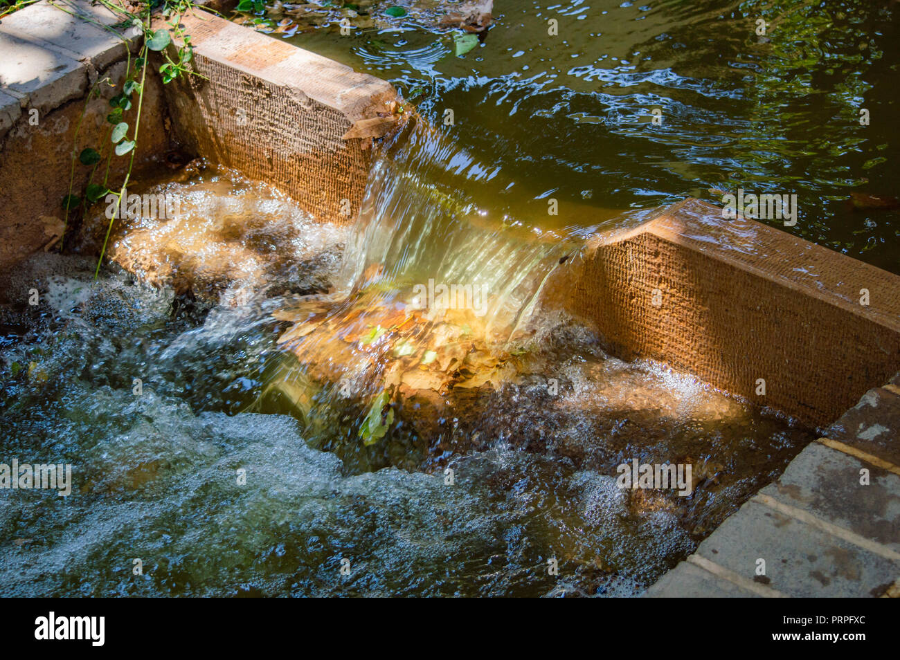 Water flowing down a channel at Eram Garden in Shiraz, Iran Stock Photo ...