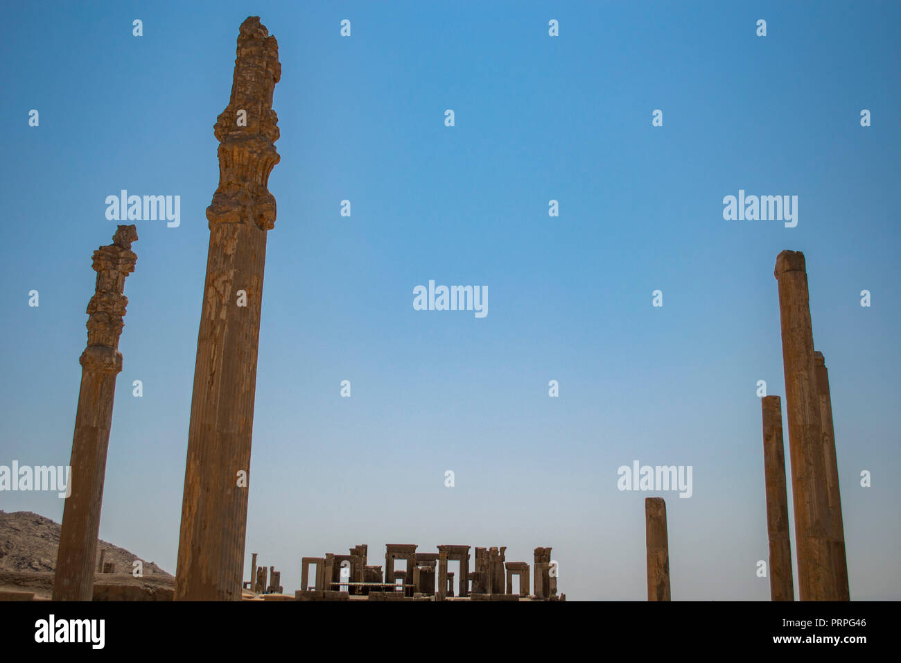 A view of the columns at Persepolis, Iran Stock Photo - Alamy