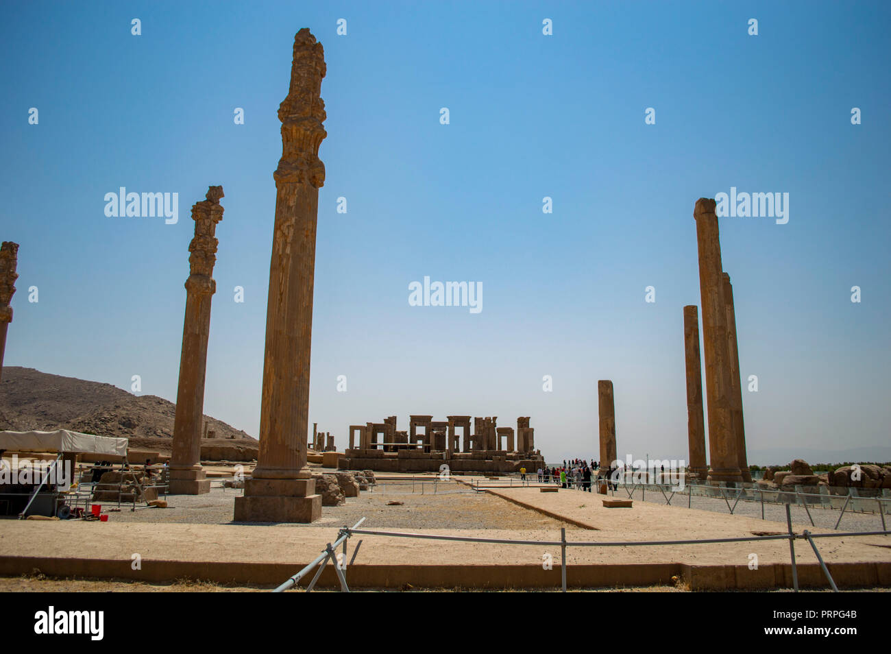 A view of the columns at Persepolis, Iran Stock Photo - Alamy