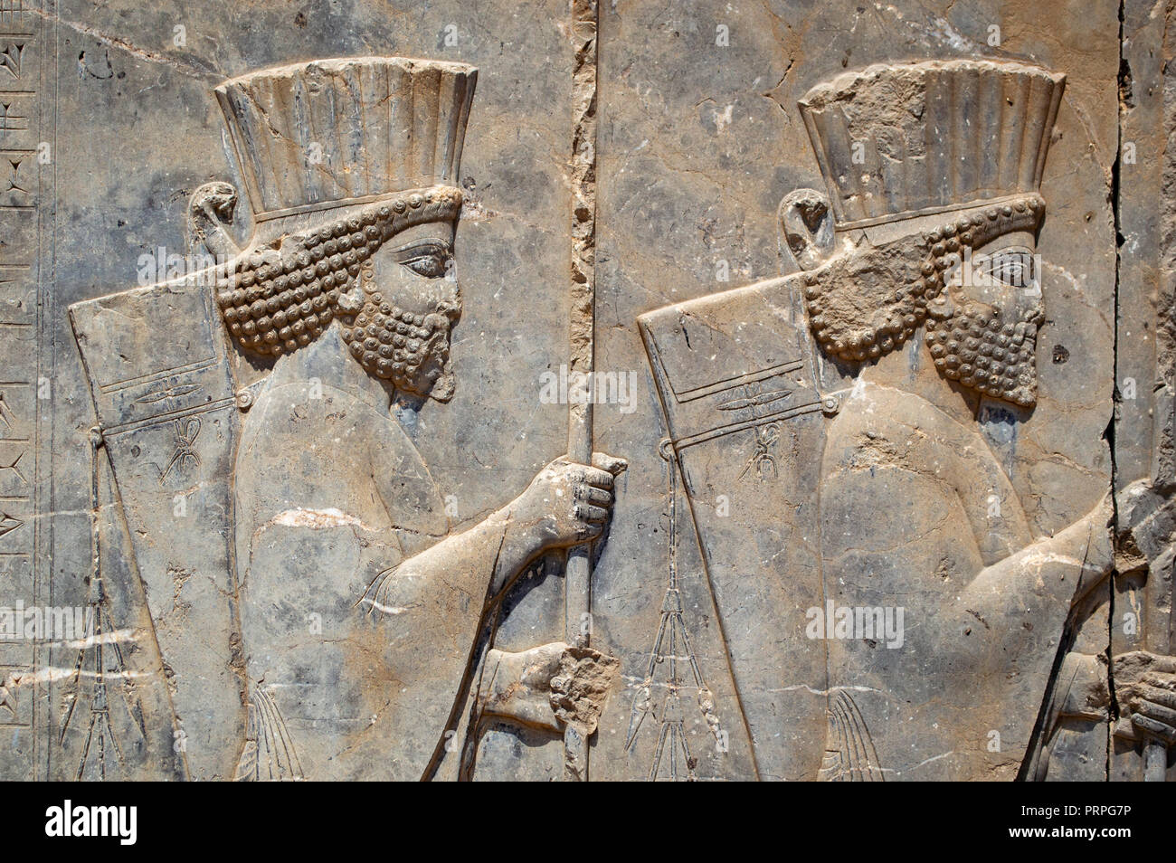 Carvings on the wall of the Apadana at Persepolis, Iran Stock Photo - Alamy