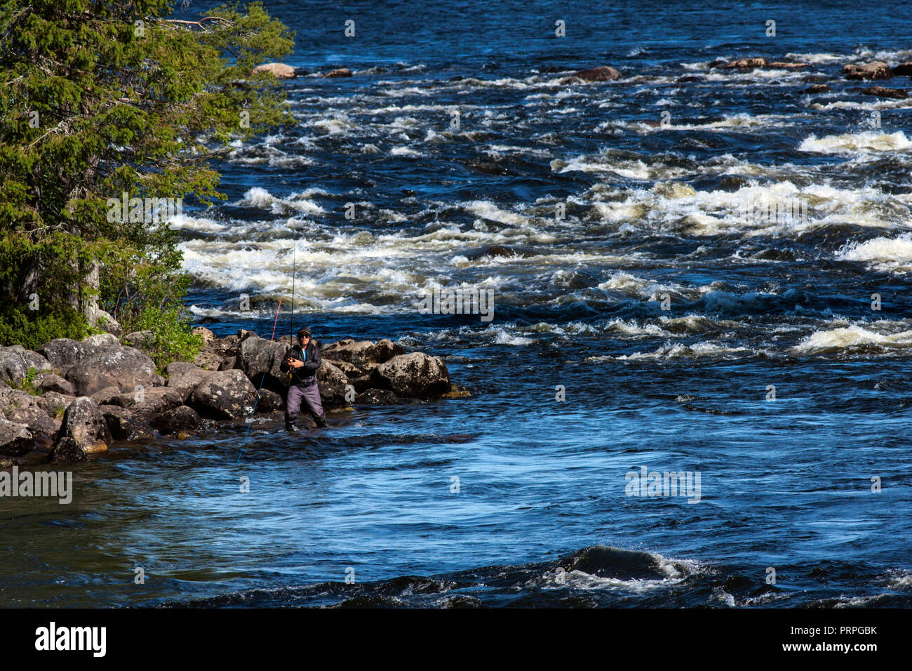 KALIX RIVER, SWEDEN ON JUNE 26, 2018. View of rapids in the Kalix River ...