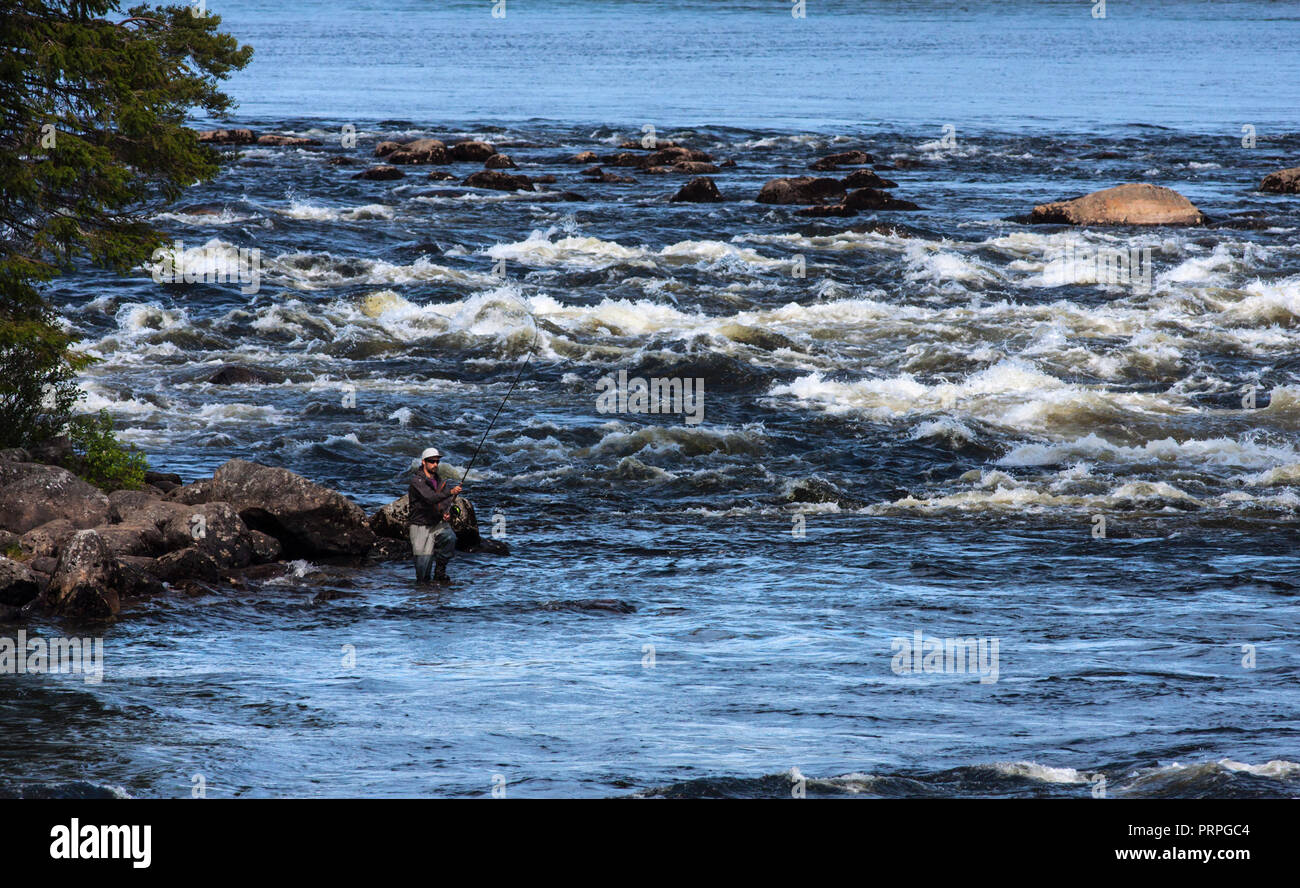 KALIX RIVER, SWEDEN ON JUNE 26, 2018. View of rapids in the Kalix River ...