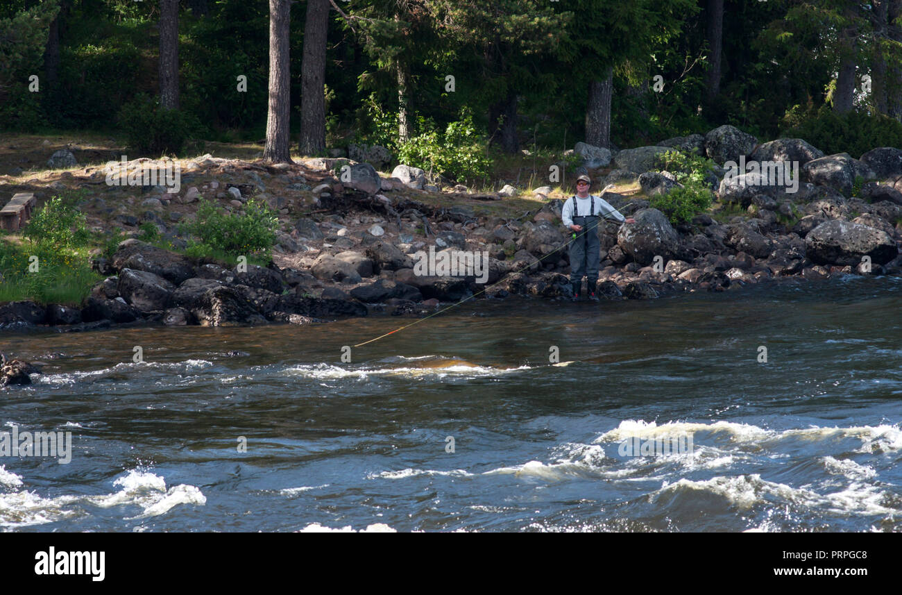 KALIX RIVER, SWEDEN ON JUNE 26, 2018. View of rapids in the Kalix River ...