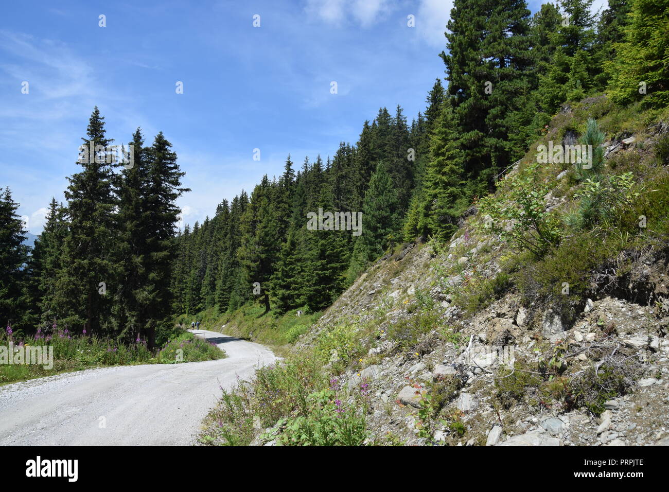 Beautyfull view hi-res stock photography and images - Alamy