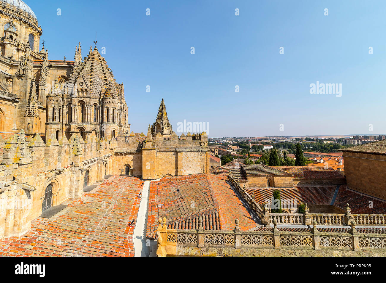 View of upper side of Salamanca Old and New Cathedrals, Community of ...
