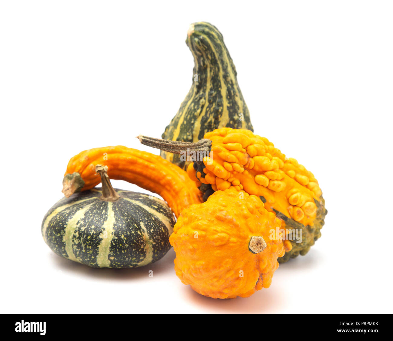 A Group of Five Different Gourds on a White Background Stock Photo - Alamy
